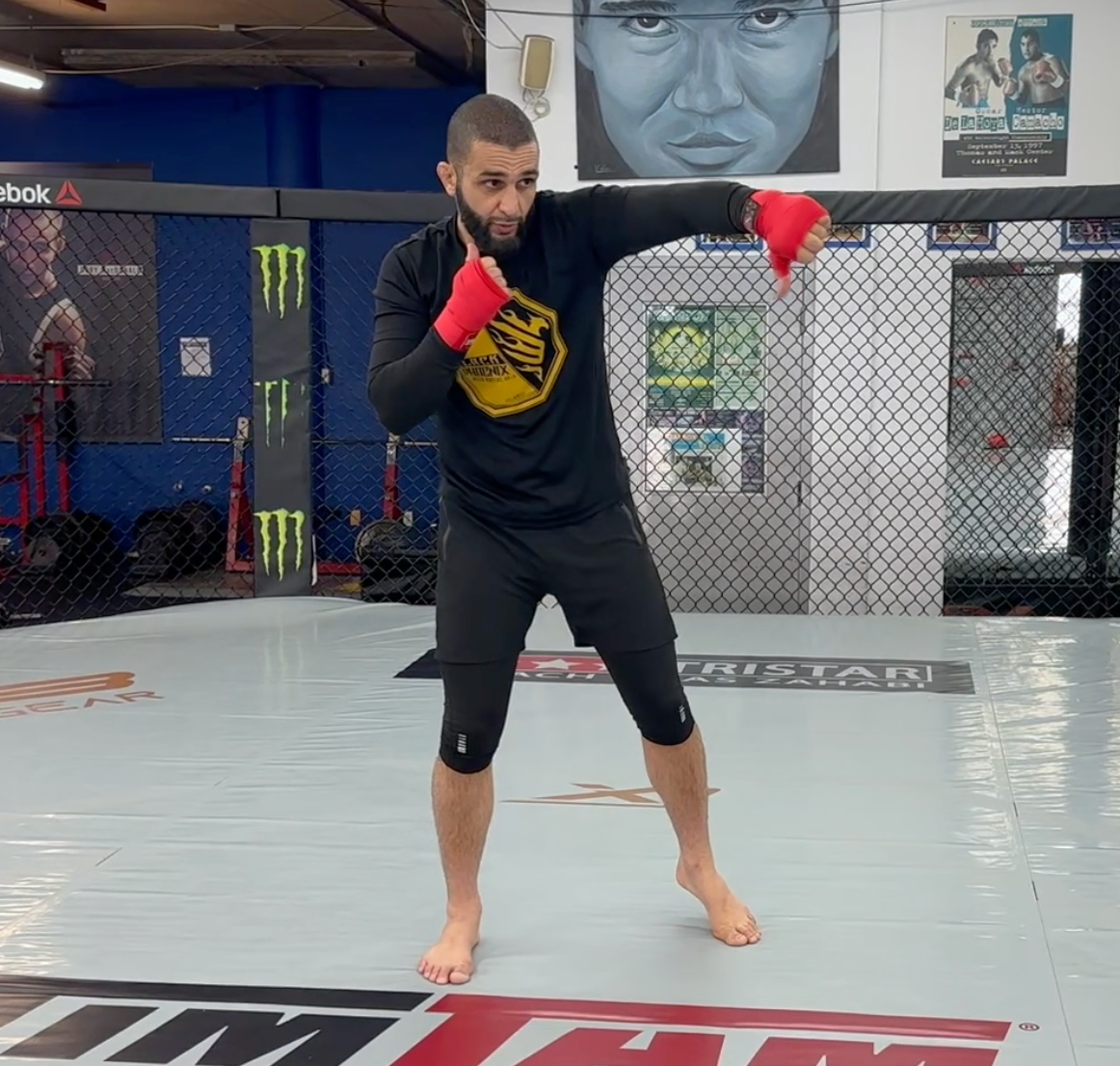 Professional Shadow Boxing Lessons Vol 1 : Advanced Footwork, Striking ...