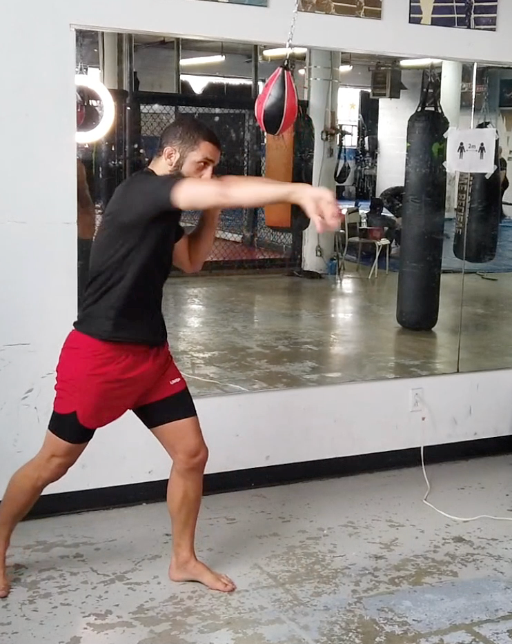 Mastering the Maize Ball Workout – Juji Club