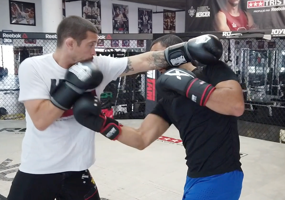 Mastering the Maize Ball Workout – Juji Club